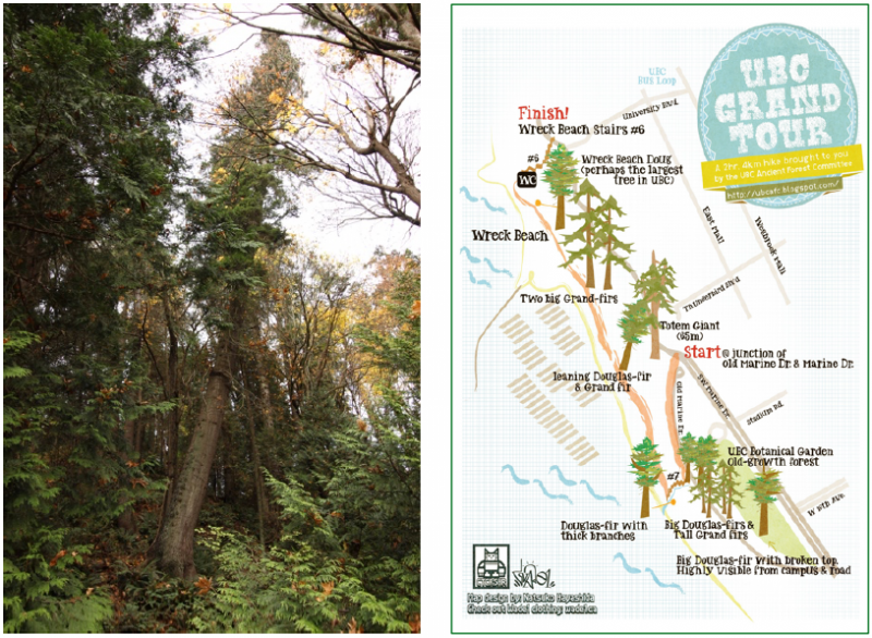 Preservation and Education at UBC - Trees of Vancouver Society